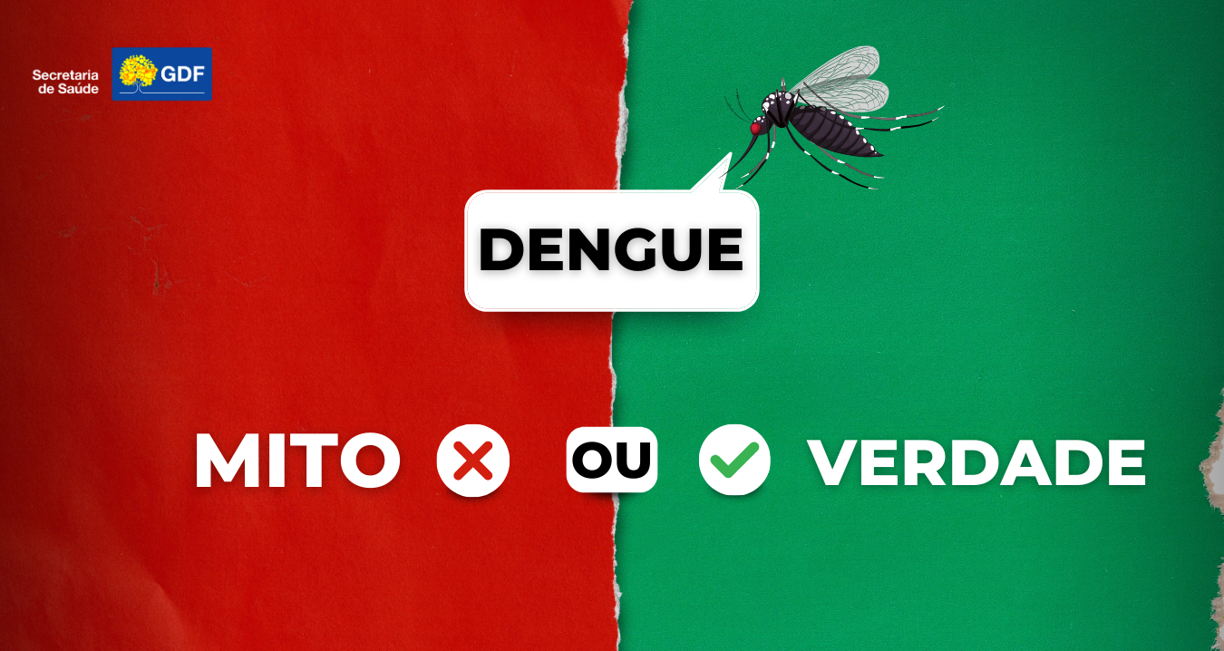 Saiba o que é mito e o que é verdade sobre a dengue - Secretaria de Saúde do Distrito Federal